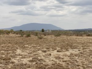 Med Finance - KMA Sacco